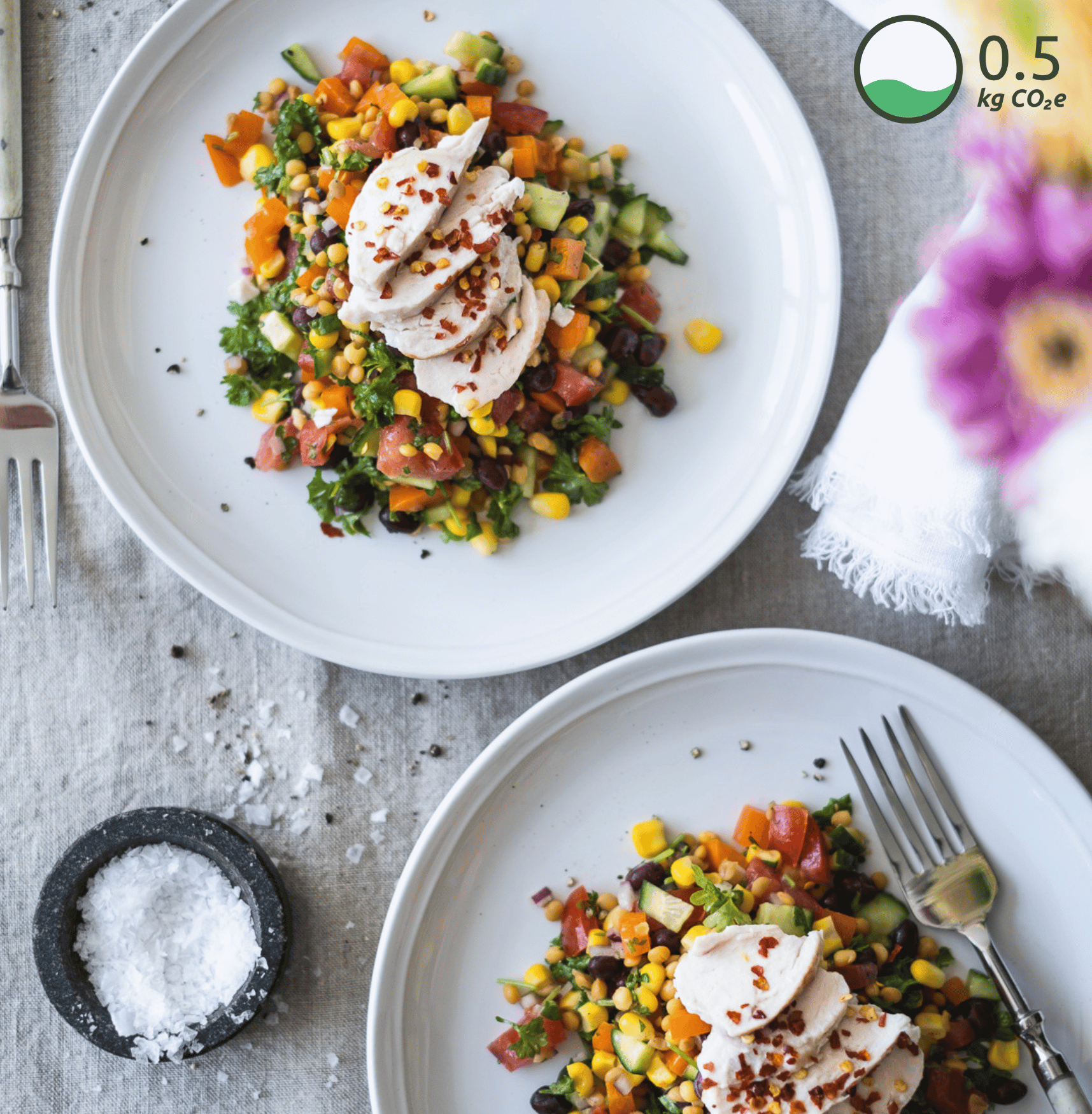 5 sunne middager | Den stolte Hane